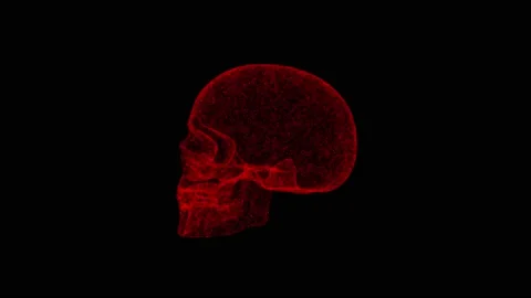 3D human skull rotates on black backgrou... | Stock Video | Pond5