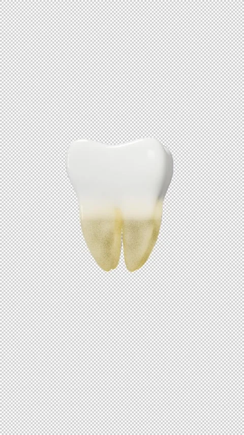 3D human teeth animation 360 degrees, tr... | Stock Video | Pond5