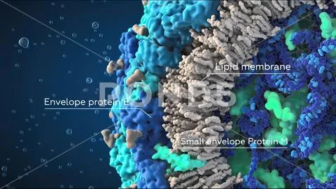 3D illustration of cell and internal structure on black background ...