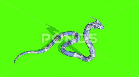 3d illustration - Snake on a Green Screen - background Illustration ...