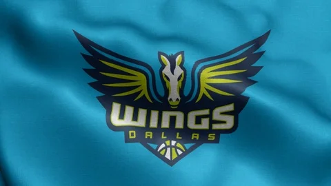 Wnba Stock Video Footage | Royalty Free Wnba Videos | Pond5