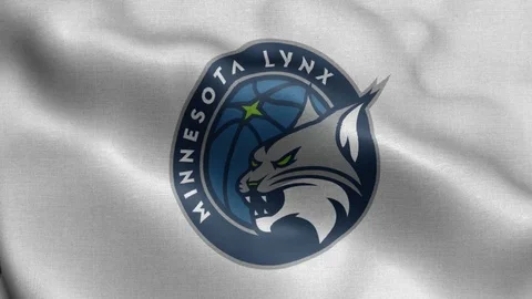 Wnba Stock Video Footage | Royalty Free Wnba Videos | Pond5