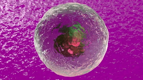 3D Looped animation of eukaryotic cell m... | Stock Video | Pond5