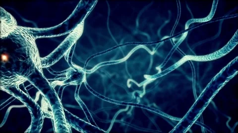 Brain Neuron Animation Stock Video Footage | Royalty Free Brain Neuron ...