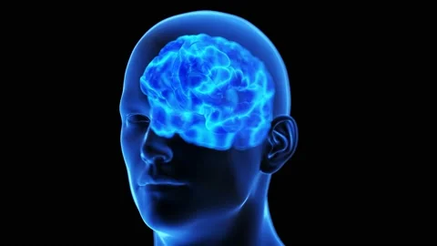 3D Medical Animation of the active brain... | Stock Video | Pond5