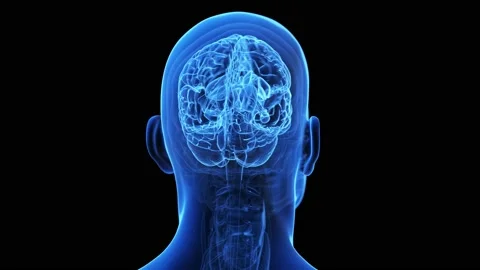 3D Medical Animation of the active brain... | Stock Video | Pond5