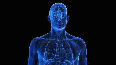 3d medical animation of an active hippoc... | Stock Video | Pond5