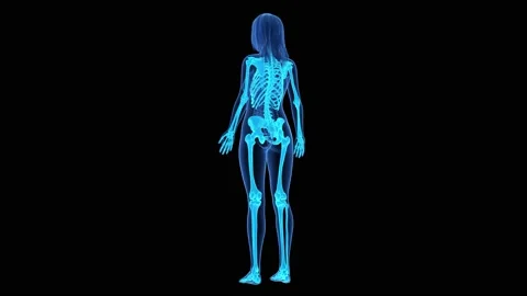 3d medical animation of the anatomical s... | Stock Video | Pond5