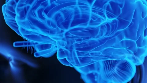 3d medical animation of the anatomical s... | Stock Video | Pond5