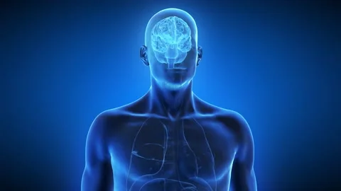 Degenerate Stock Video Footage | Royalty Free Degenerate Videos | Pond5