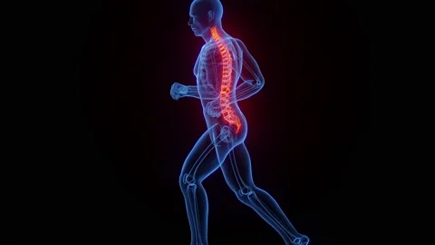 Back Pain Animation Stock Footage ~ Royalty Free Stock Videos | Pond5