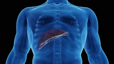 Medical 3D Stock Footage ~ Royalty Free Stock Videos | Pond5