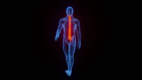 3D medical animation of a man's spine wh... | Stock Video | Pond5