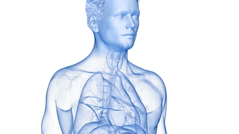 3d medical animation of a neoplasm in th... | Stock Video | Pond5