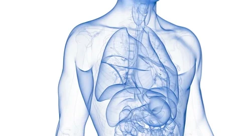 3d medical animation of a neoplasm in th... | Stock Video | Pond5