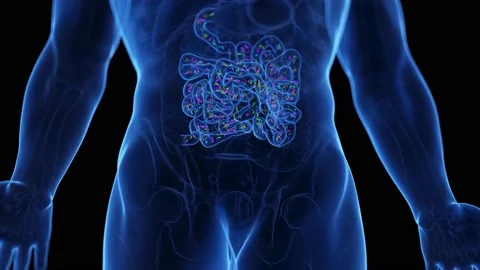 3d medical animation of the normal intes... | Stock Video | Pond5