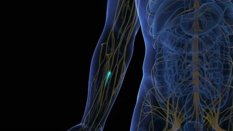 3D Signal Stock Footage ~ Royalty Free Stock Videos | Pond5