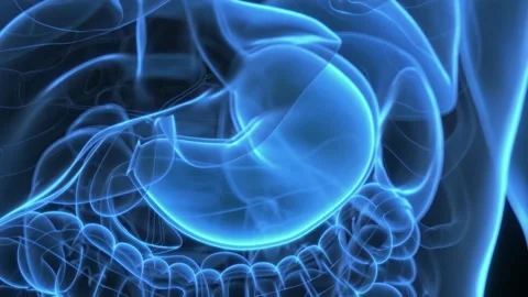 3d medical animation of the stomach prod... | Stock Video | Pond5