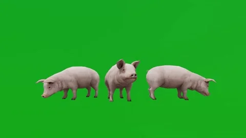 3d mexican people on green screen walkin... | Stock Video | Pond5