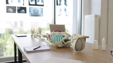 3D model of human skeleton with organs | Stock Video | Pond5