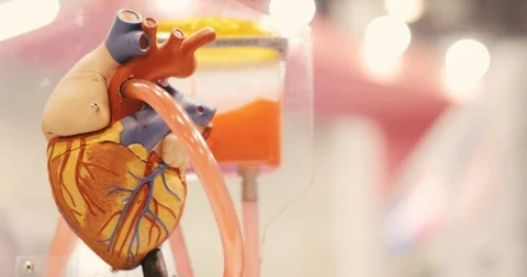 3d model layout of human heart pumping b... | Stock Video | Pond5