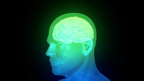 3D model of a rotating human head with a... | Stock Video | Pond5