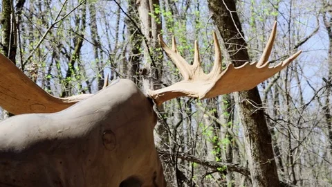 Archery Target 3D Stock Videos – Royalty-Free HD & 4K Videos