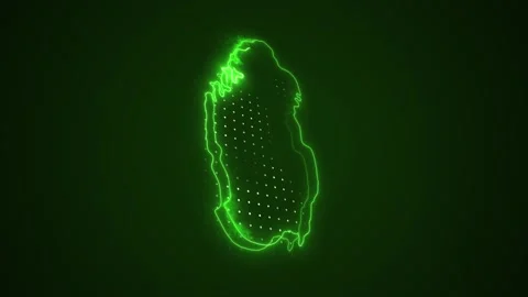 3D Neon Green Qatar Map Borders Outline ... | Stock Video | Pond5