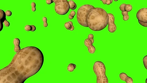 3D peanuts falling animation on green sc... | Stock Video | Pond5