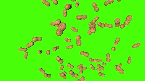 3D peanuts falling animation on green sc... | Stock Video | Pond5