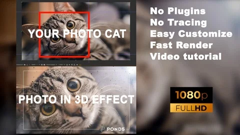 3D Photo Animator Effects ~ After Effects Project #127268066