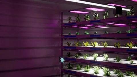 3d render animation of vertical farm pla... | Stock Video | Pond5