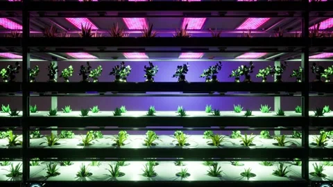 3d render animation of vertical farm cam... | Stock Video | Pond5