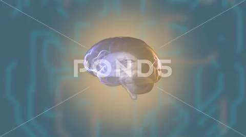 3d render computed medical tomography MRI scan of human brain over ...