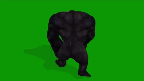 Fierce Animal Stock Videos – Royalty-Free HD & 4K Videos