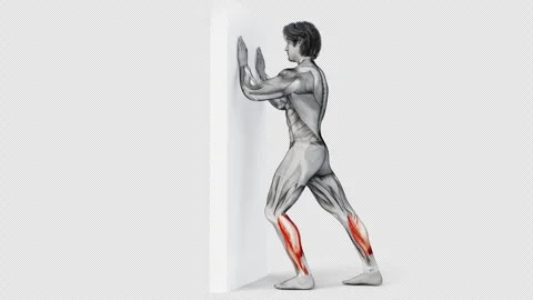 3d render of muscular male character tra... | Stock Video | Pond5