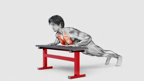 3d render of muscular male character tra... | Stock Video | Pond5