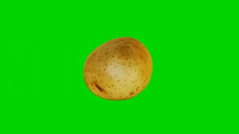 3d render of potato model rotate on gree... | Stock Video | Pond5