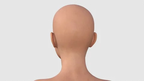 Spinning 3D Head Stock Videos – Royalty-Free HD & 4K Videos