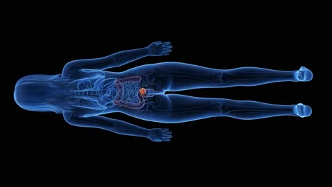 Tumor 3D Stock Video Footage | Royalty Free Tumor 3D Videos | Pond5