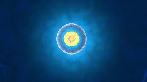 3D rendered Animation of Cell Replicatio... | Stock Video | Pond5