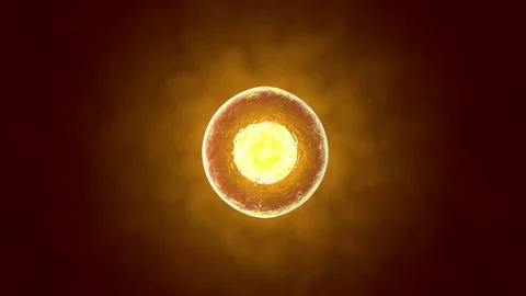 3D rendered Animation of Cell Replicatio... | Stock Video | Pond5