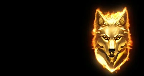 3D rendered animation of a golden wolf e... | Stock Video | Pond5