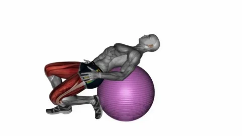 Leg Muscles Animation Stock Videos – Royalty-Free HD & 4K Videos