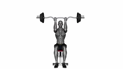 3D rendered animation of a model doing e... | Stock Video | Pond5