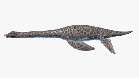 3D Rendered Animation of a Plesiosaurus ... | Stock Video | Pond5