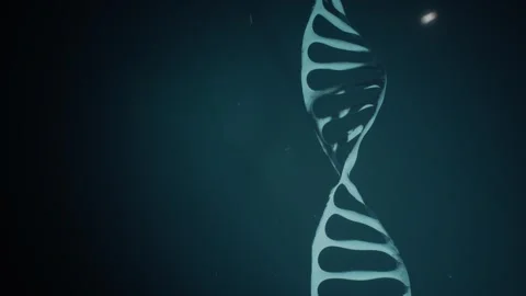 3D rendered animation of rotating DNA mo... | Stock Video | Pond5