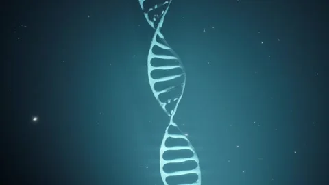 3D rendered animation of rotating DNA mo... | Stock Video | Pond5