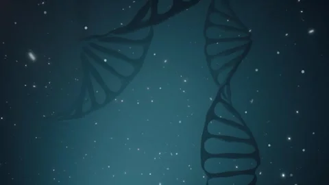 3D rendered animation of rotating DNA mo... | Stock Video | Pond5