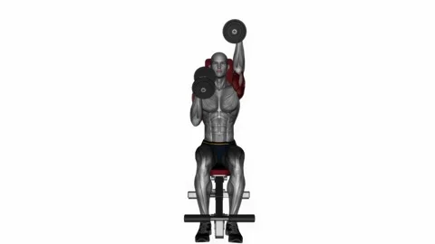 3d rendered animation of shoulders exerc... | Stock Video | Pond5